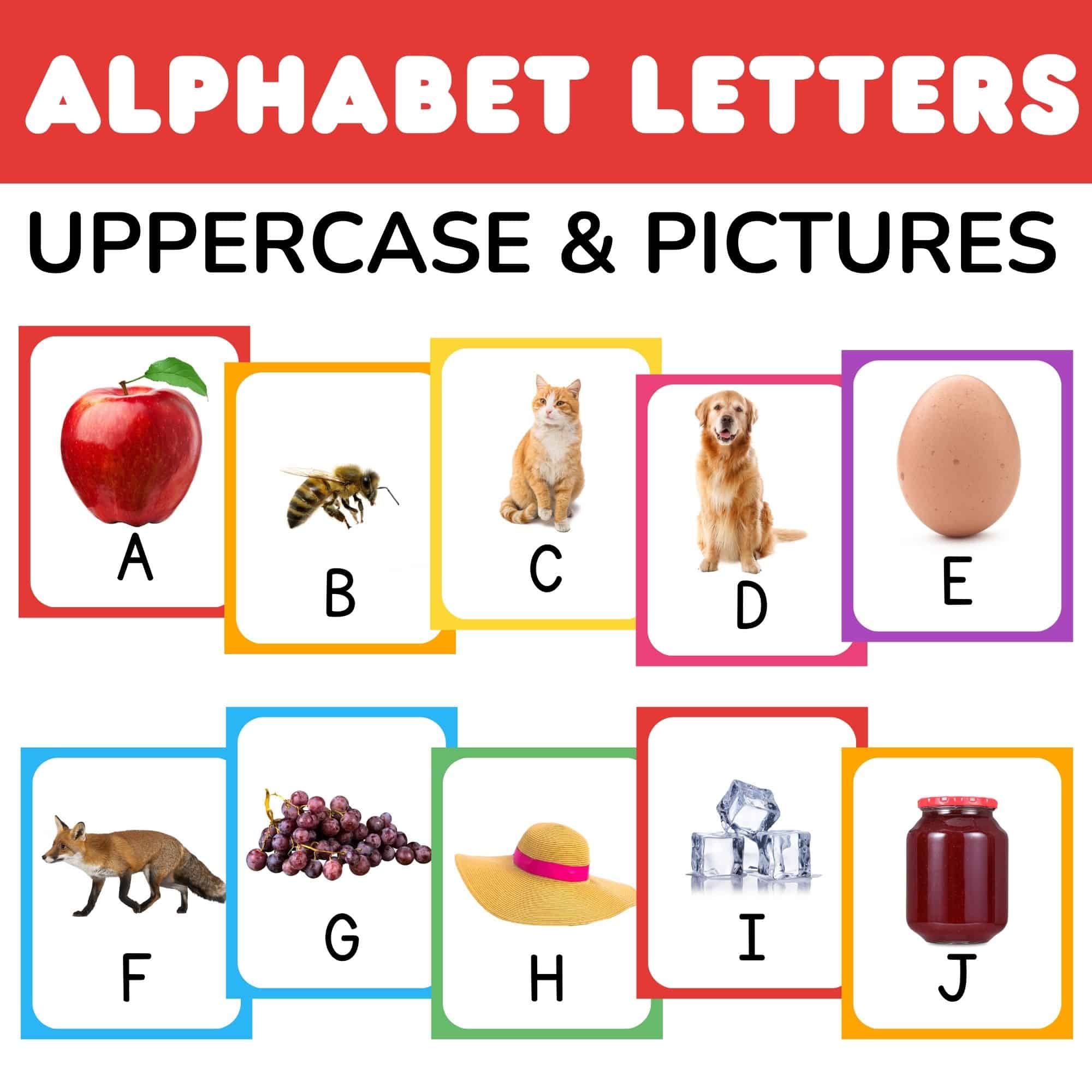 FREE Tracing Upper Case Alphabet Flashcards with Writing Lines