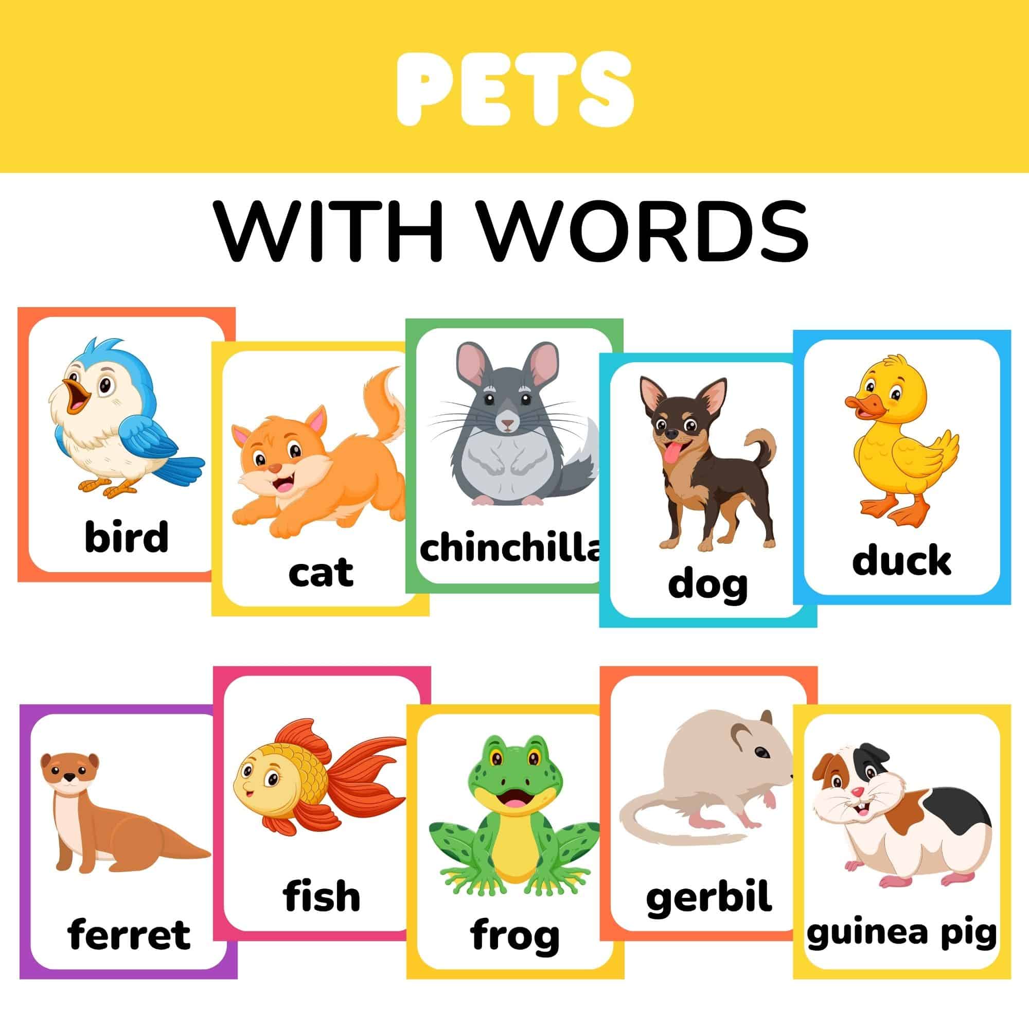 FREE Realistic Arctic Animal Flashcards with Words PDF