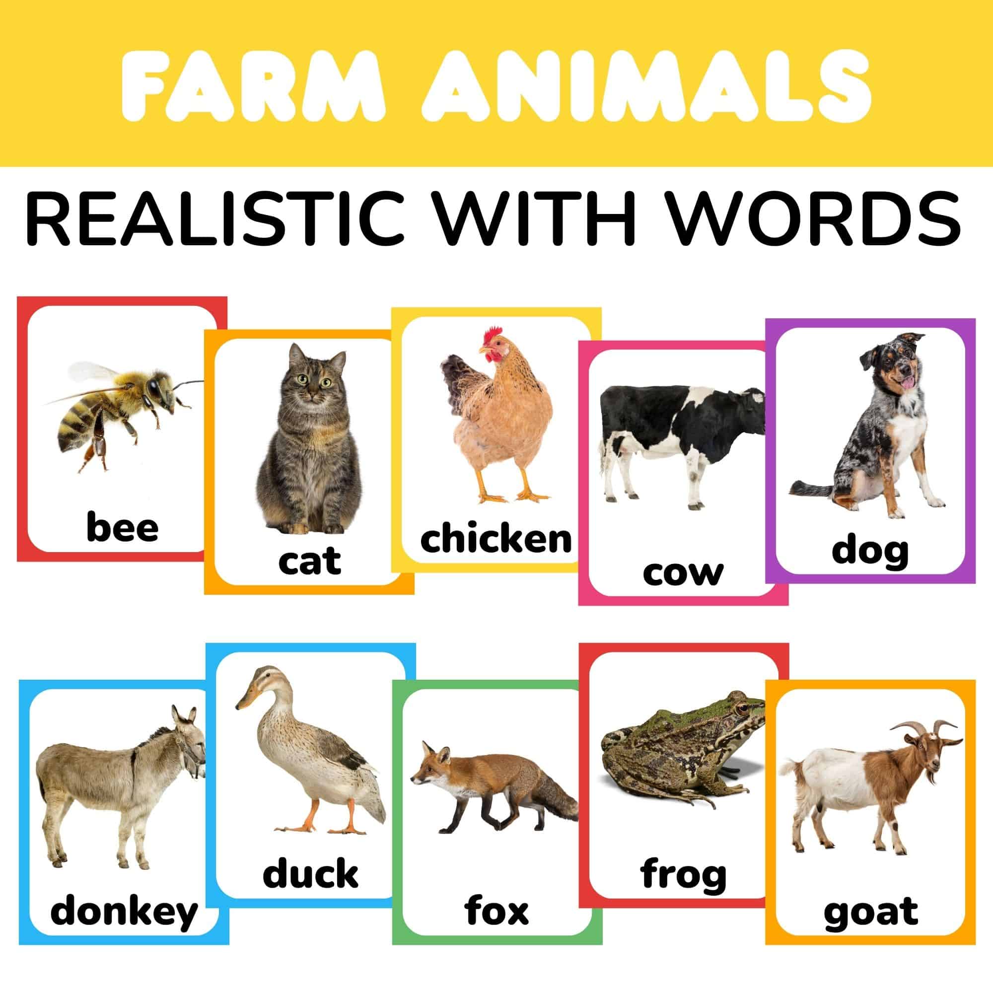 FREE Baby Animal Pairs Flashcards with Words PDF