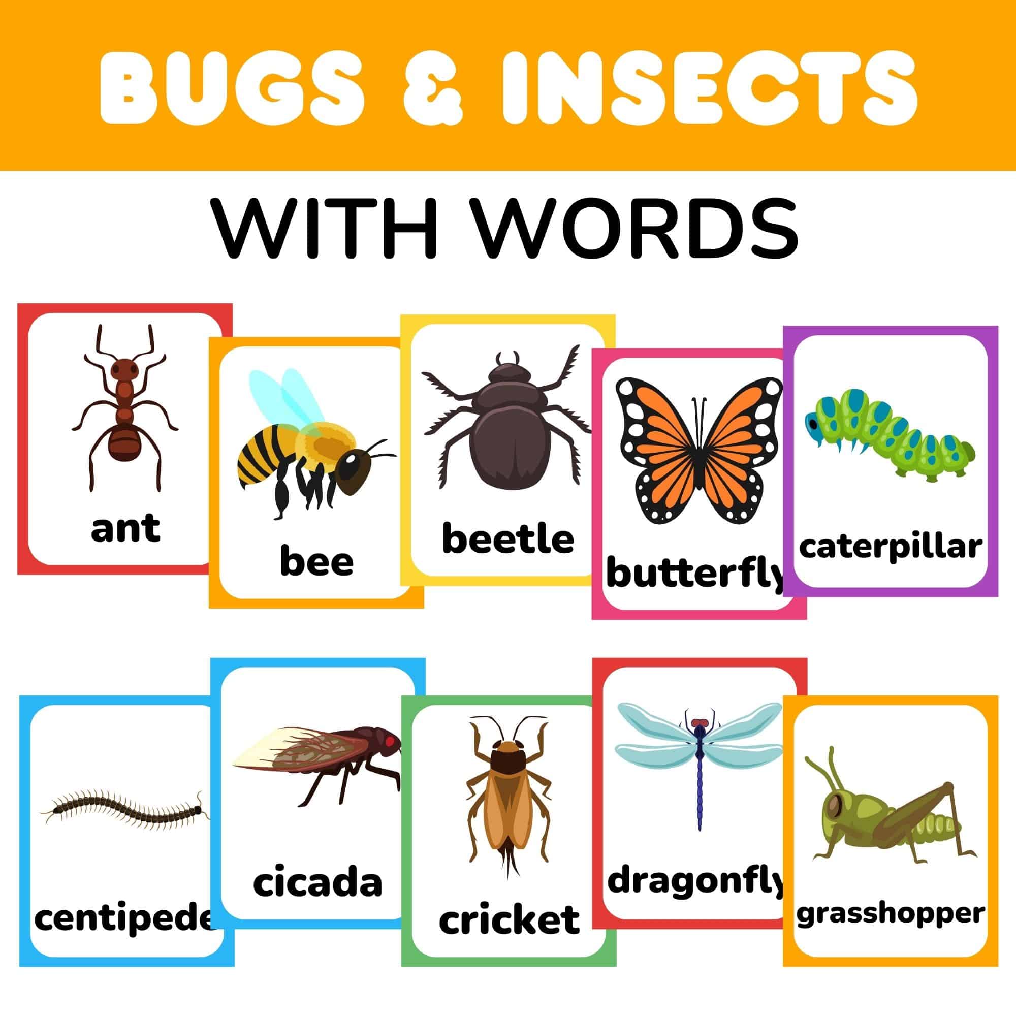 FREE Realistic Farm Animal Flashcards Without Words PDF