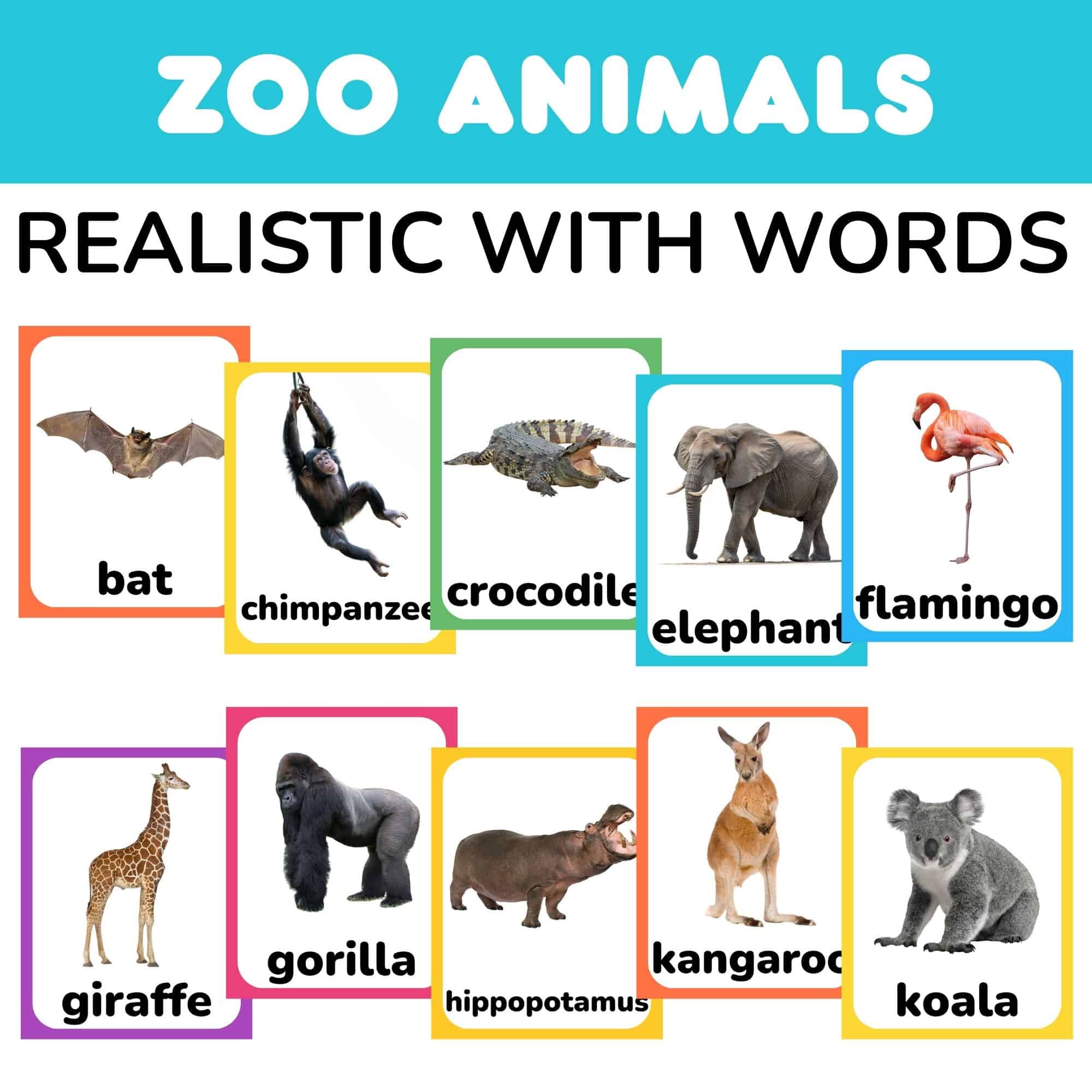 Free Forest Animal Flashcards Without Words PDF