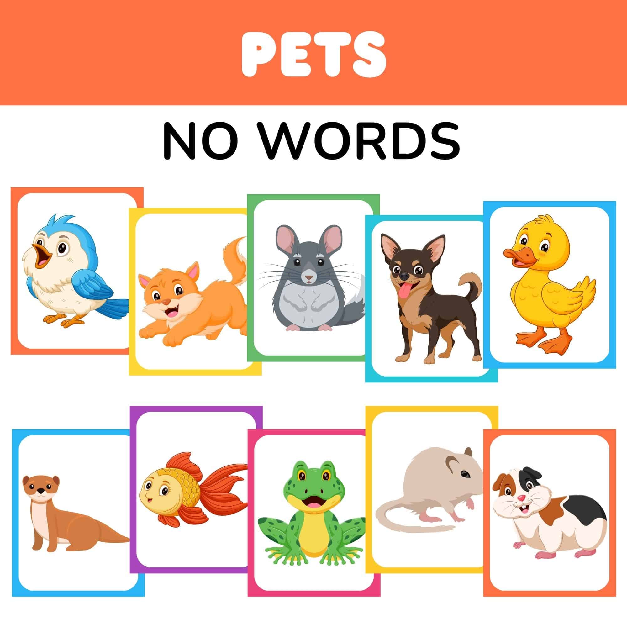 FREE Realistic Forest Animal Flashcards Without Words PDF