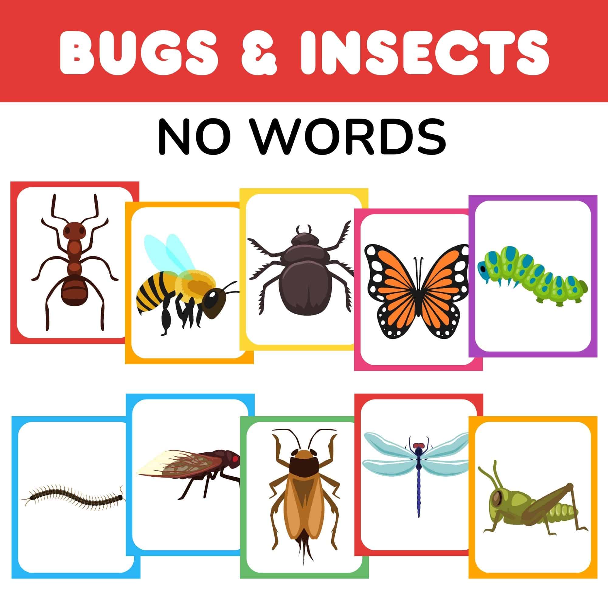 FREE Realistic Ocean Animal Flashcards With Words PDF