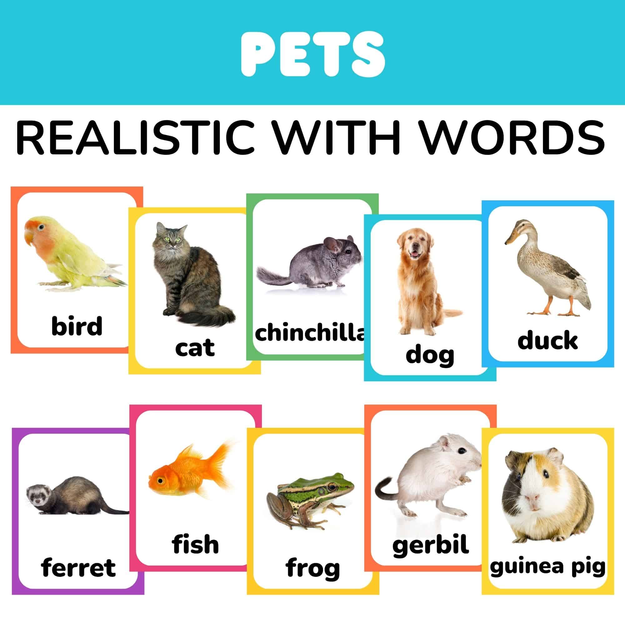 FREE Realistic Ocean Animal Flashcards With Words PDF