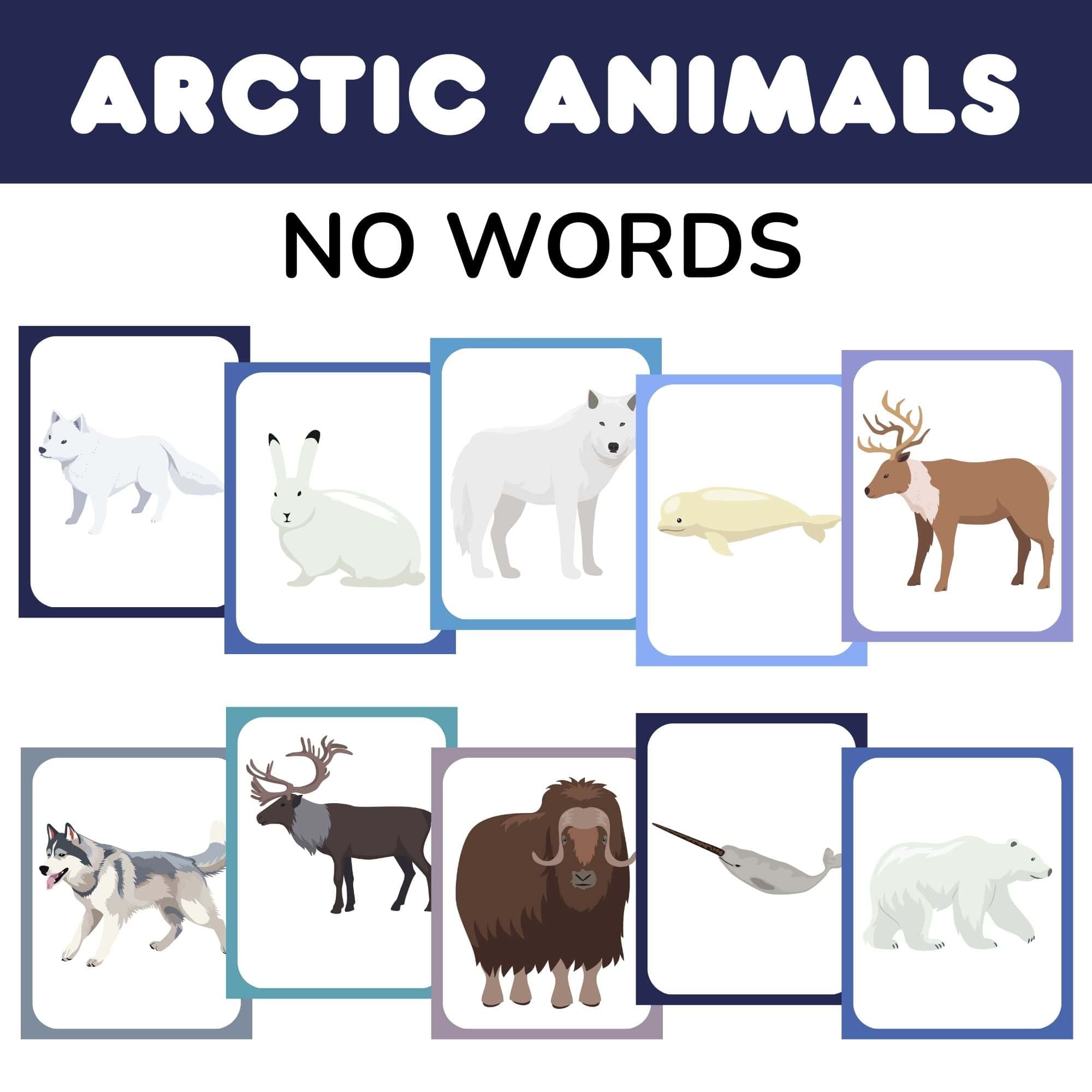 FREE Printable Pets Flashcards Without Words PDF