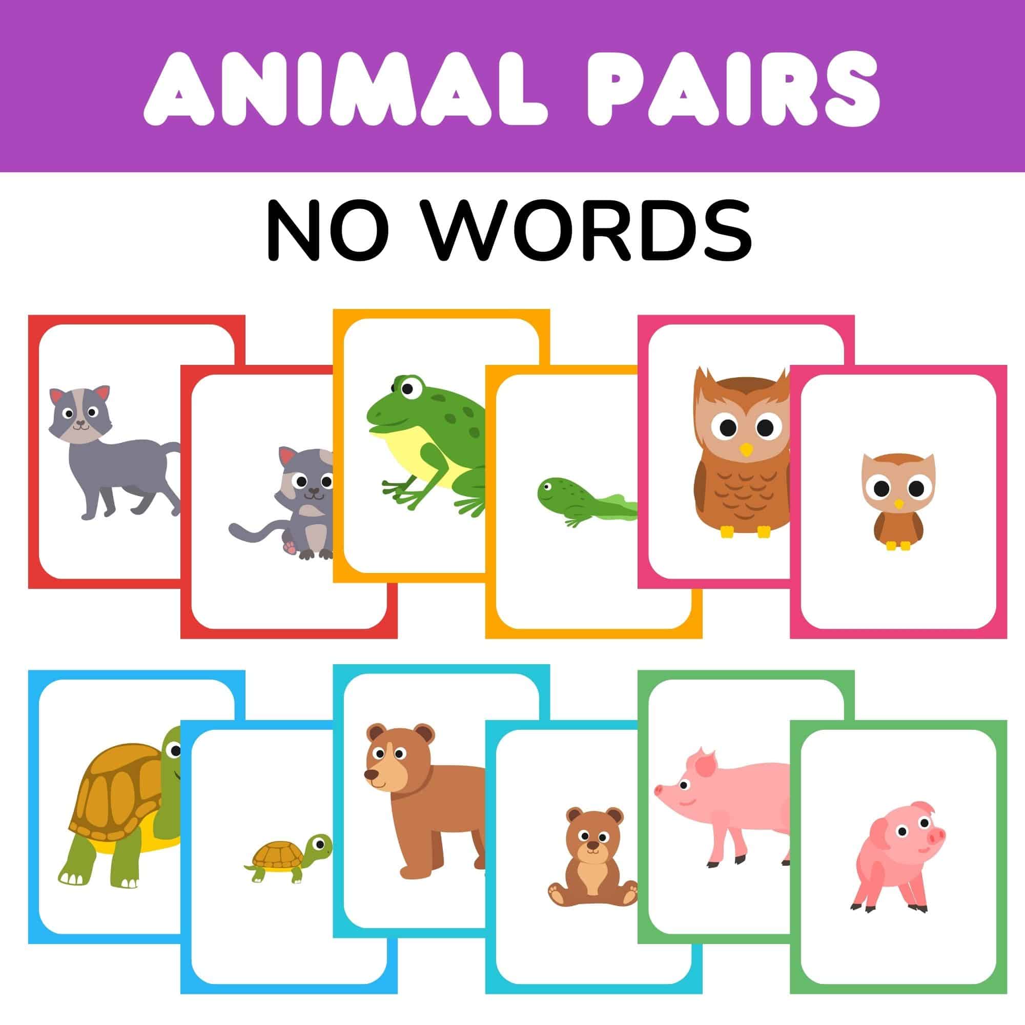 FREE Printable Pets Flashcards Without Words PDF