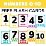 Free Printable Skip Counting Number Flashcards 0-100 by 5's
