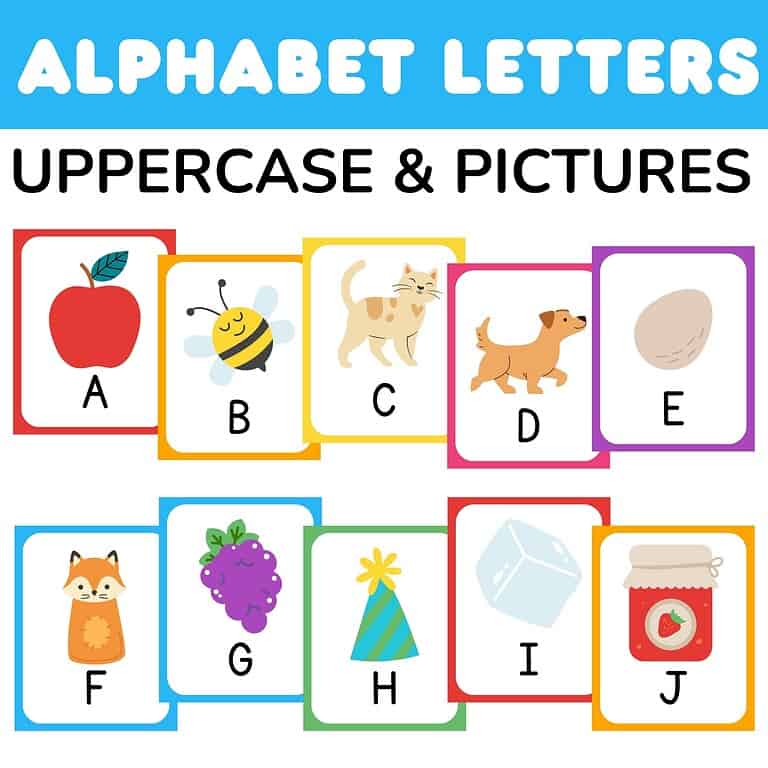 Free Lower Case Alphabet Flashcards With Realistic Pictures