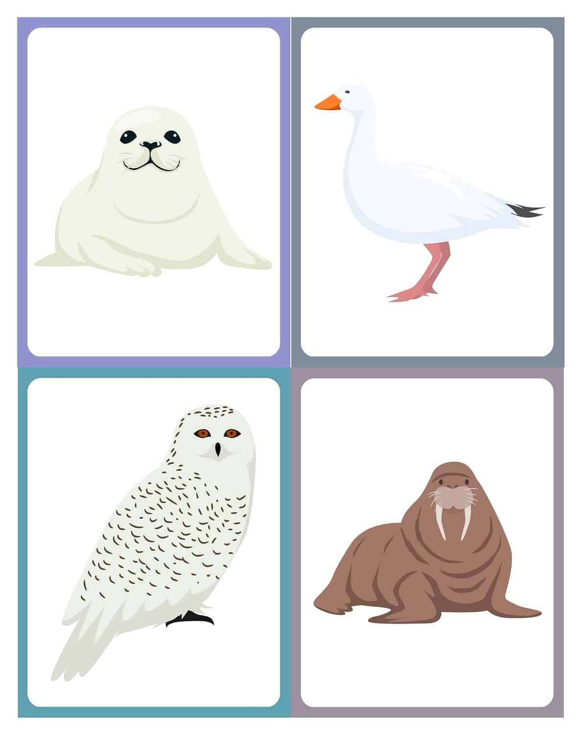 Free Printable Arctic Animal Flashcards