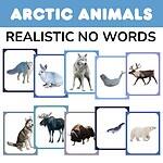 Free Zoo Animal Flashcards with Words