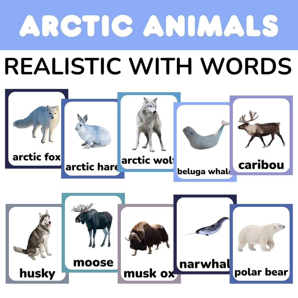 FREE Printable Pets Flashcards Without Words PDF