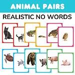 FREE Baby Animal Pairs Flashcards with Words PDF