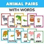 Free Printable Insect and Bugs Flashcards with Words PDF