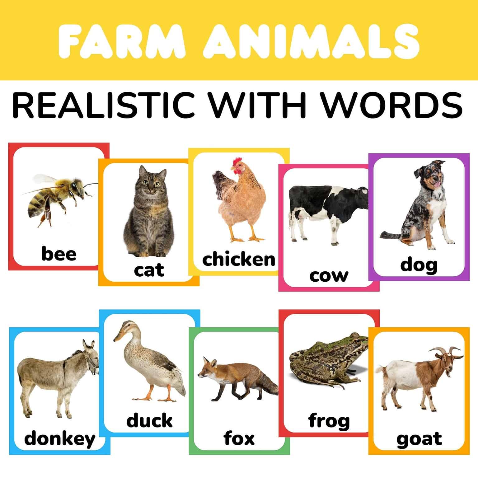 Free Farm Animal Flashcards with Words PDF