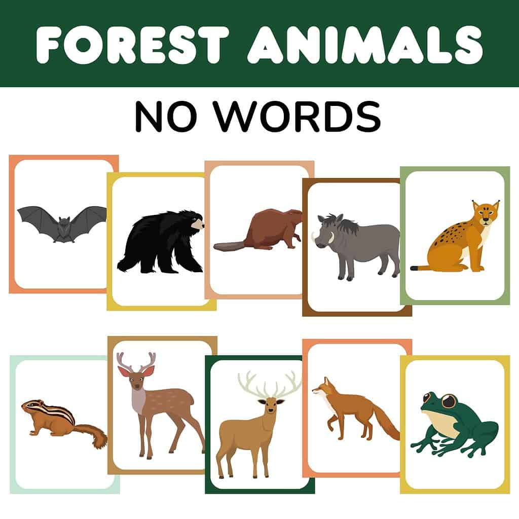 Free Printable Insect and Bugs Flashcards with Words PDF