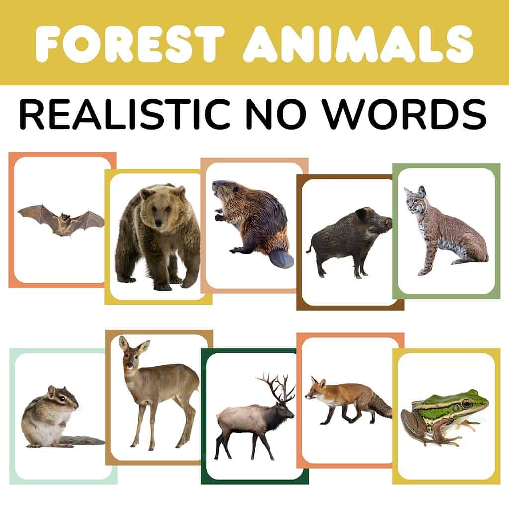 Free Farm Animal Flashcards with Words PDF