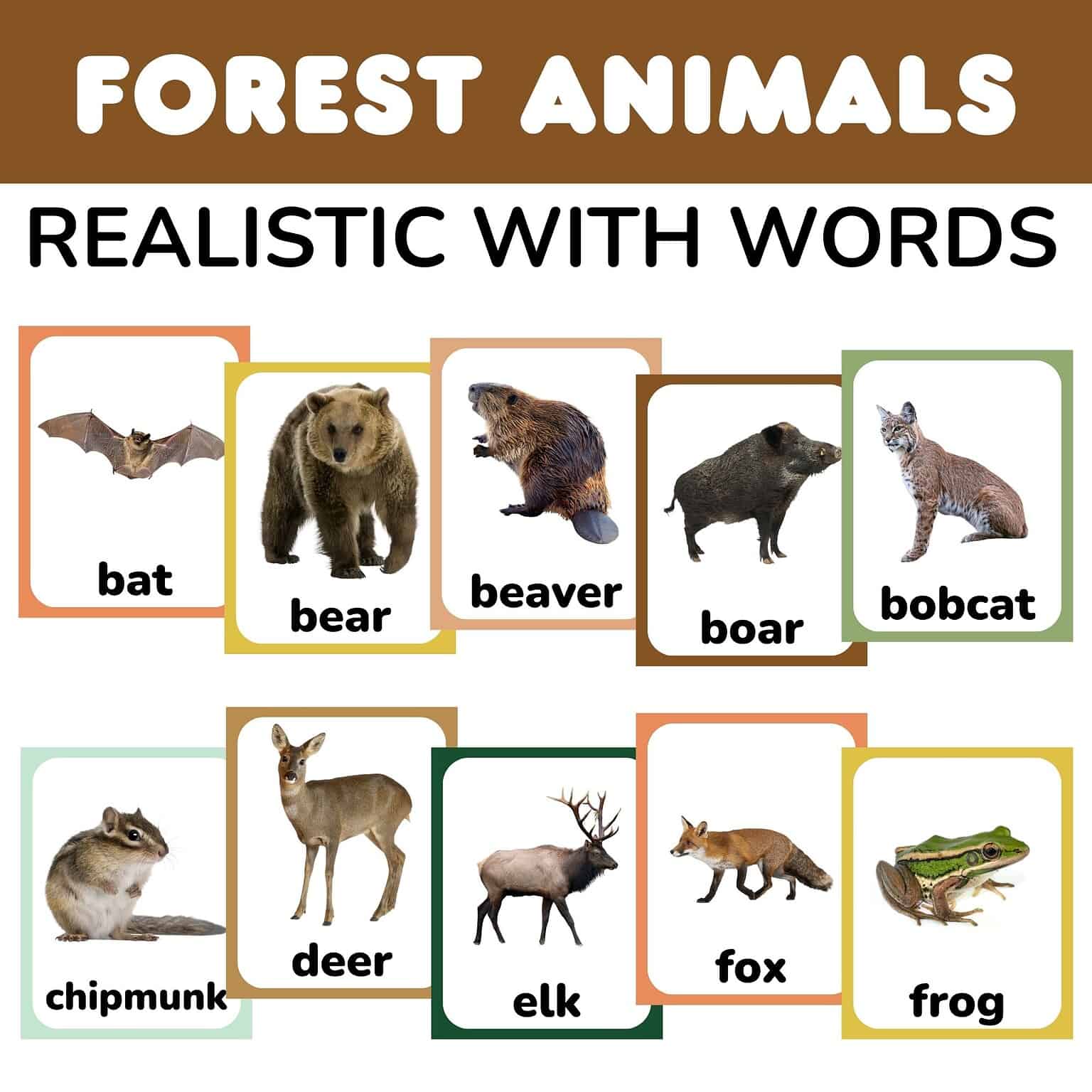Free Zoo Animal Flashcards with Words
