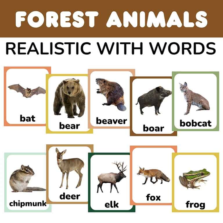 FREE Baby Animal Pairs Flashcards with Words PDF