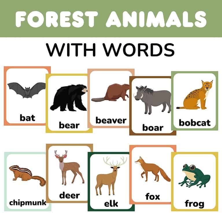 Free Realistic Forest Animal Flashcards with Words PDF