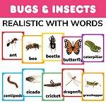 Free Zoo Animal Flashcards with Words