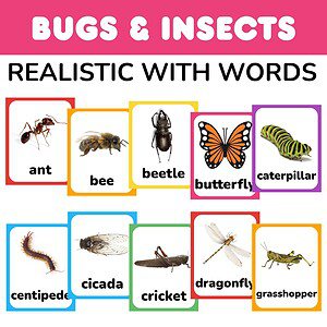 20+ Free Printable Lesson Planners