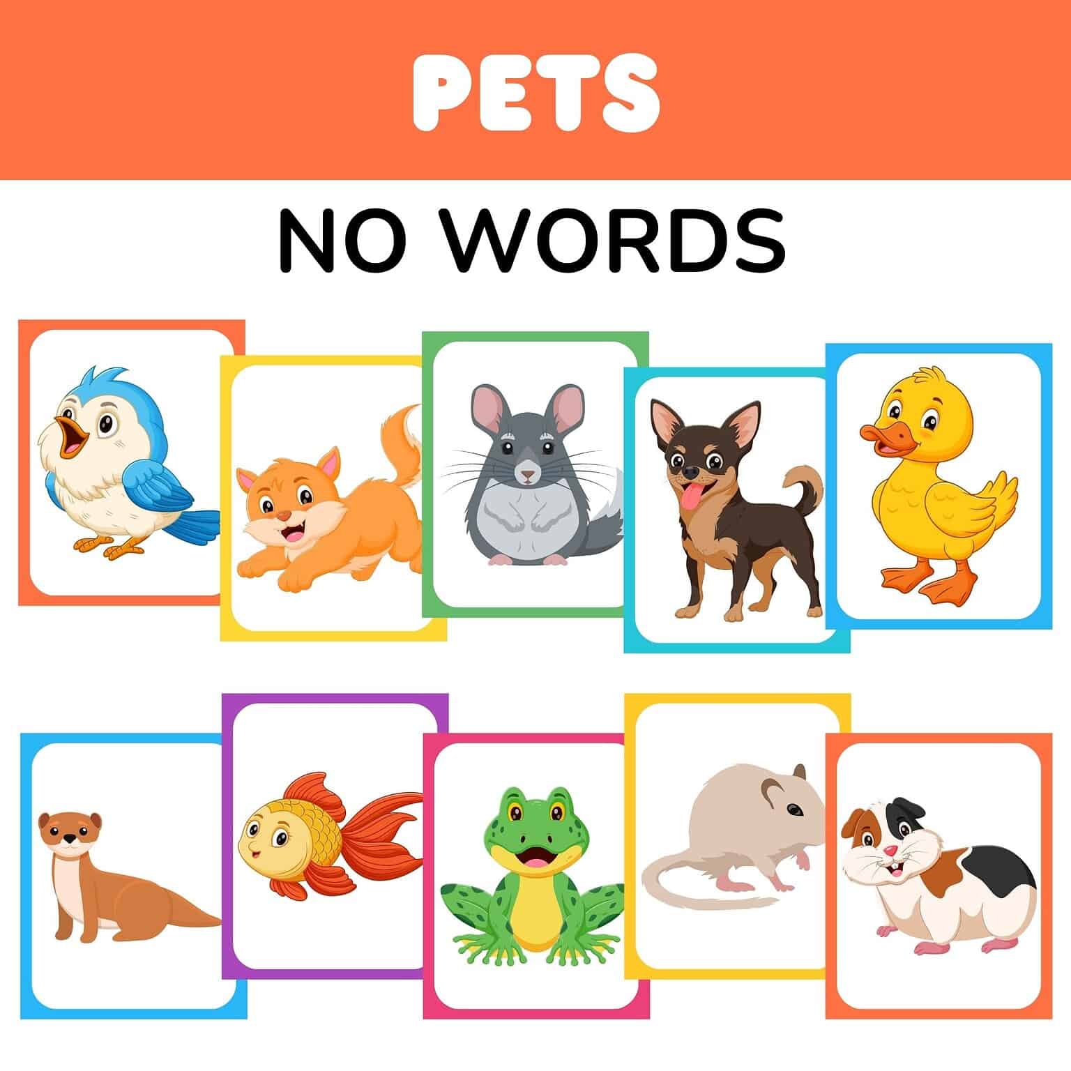 Free Zoo Animal Flashcards with Words