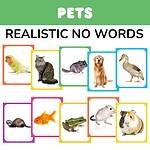Free Zoo Animal Flashcards with Words