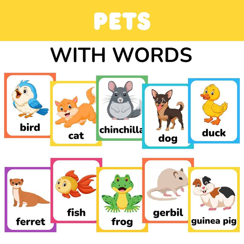Free Pets Flashcards with Words PDF